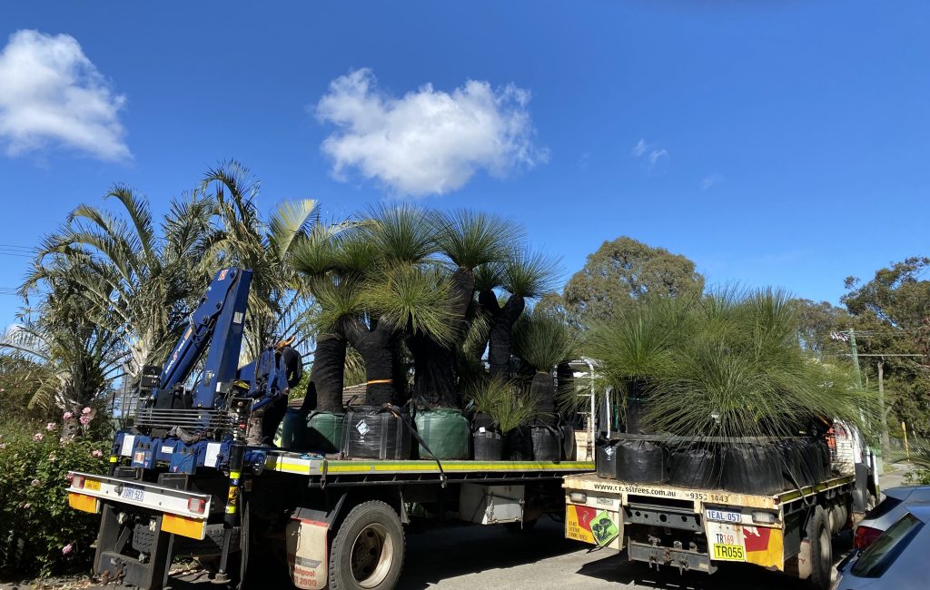 Transportation – Grasstrees Australia